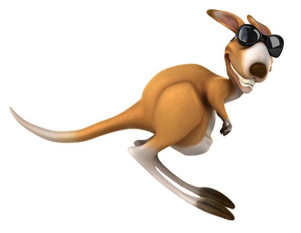 Super Roo Carpet & Tile Steam Cleaning